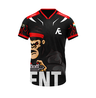 Agent Esports | Gaming Tournaments, Products & Community for Indian Gamers